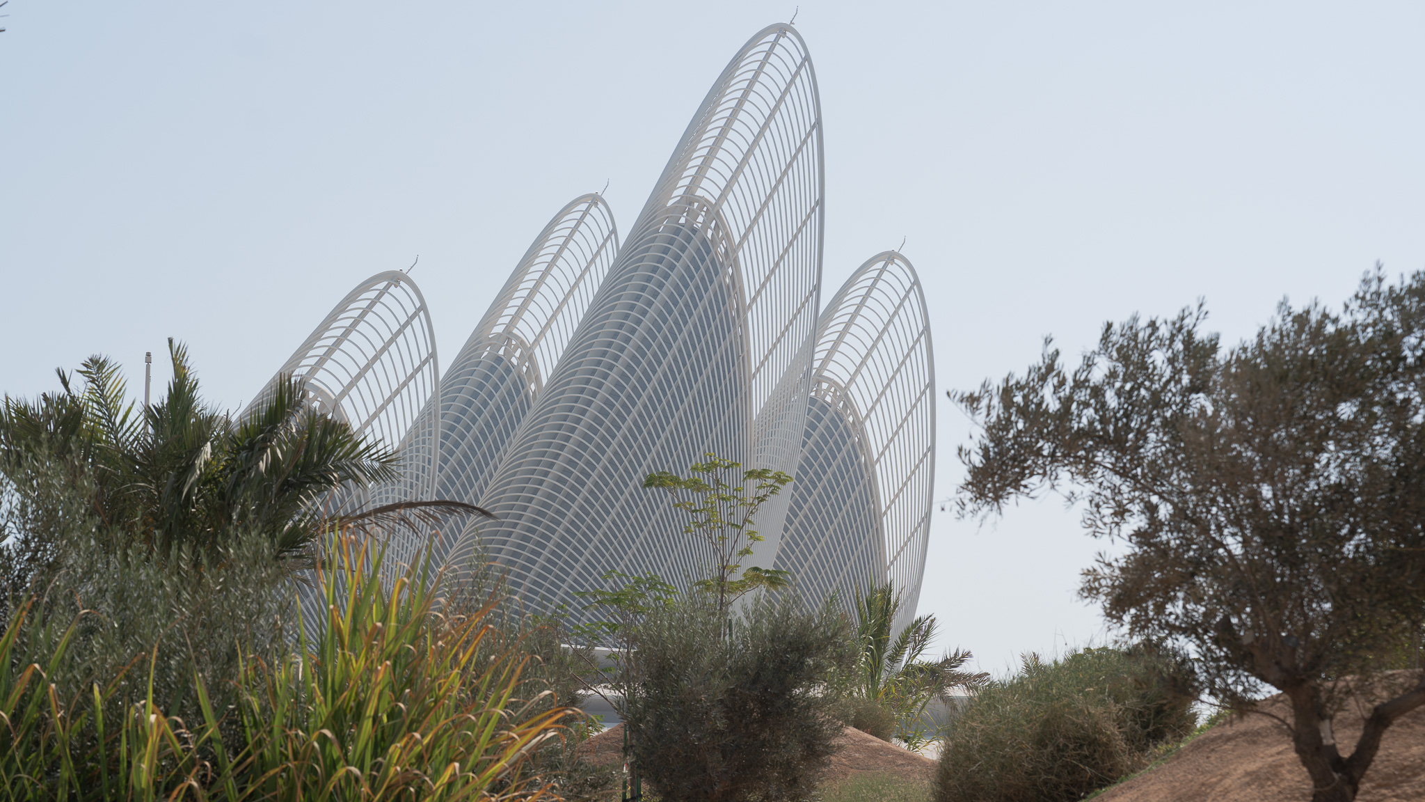 Zayed National Museum Launches the Third Round of the Funding Scheme ...
